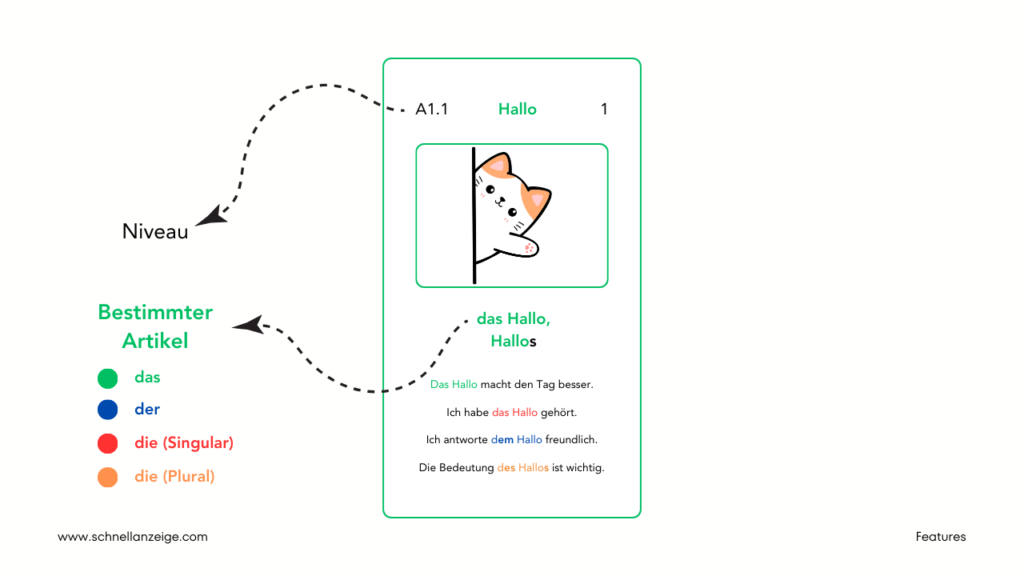 Creative German Vocabulary Cards (A1.1 Level) — Salve Mondo